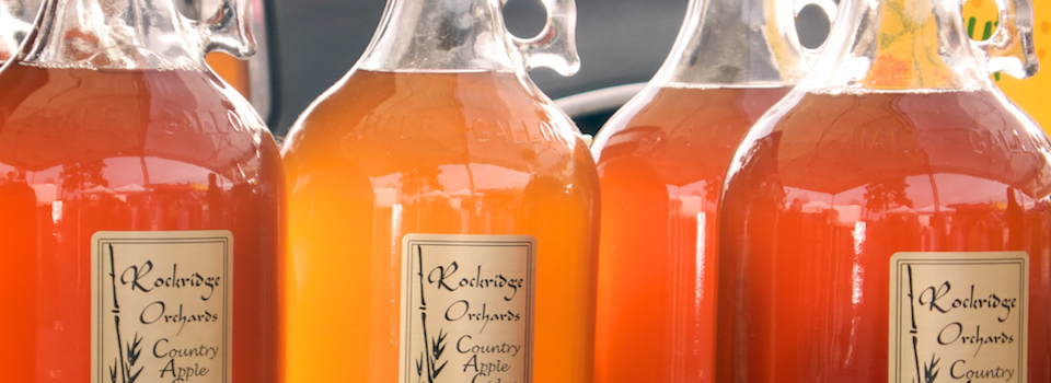How to Make Cider in 7 Easy Steps - guernseydonkey.com
