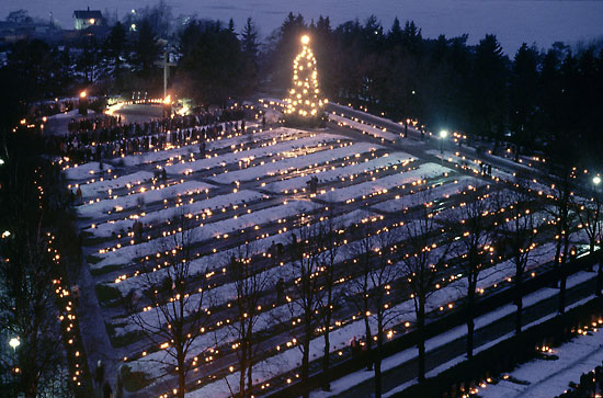 Christmas Traditions Around the World - guernseydonkey.com