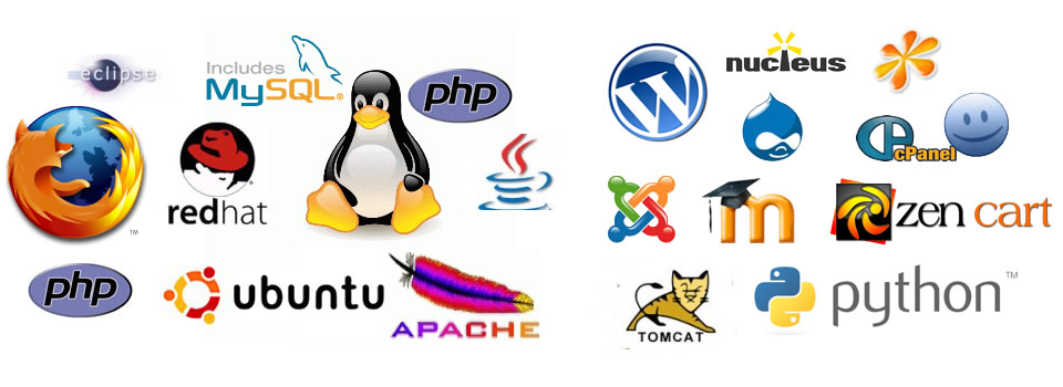 Guernsey Quiz - How Well Do you know the Bailiwick ? - guernseydonkey.com