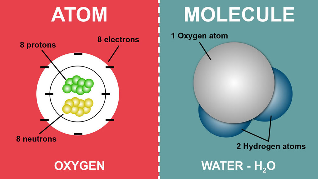Does anyone know what atoms and molecules actually look like ...