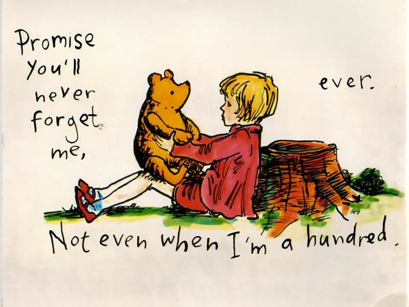 Winnie the Pooh - A Real Bear with a WWI Story - guernseydonkey.com