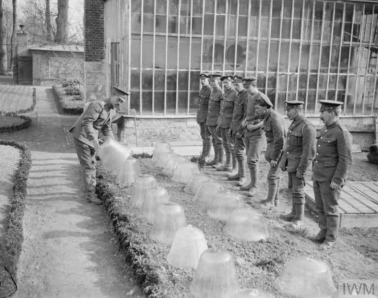 How Were the Battlefields of WWI Cleared up After the War Ended ...