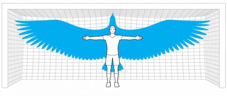 If Humans Could Fly How Big Would Their Wings Have to Be ...