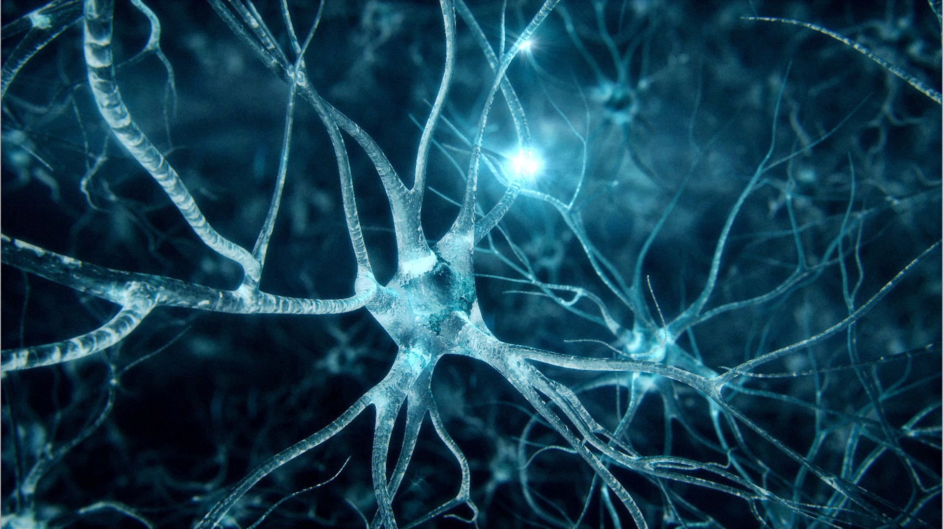 Your Brain is Amazing but Who Are You? What is Your Reality? How do You ...